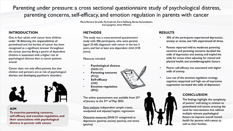 Parenting under pressure: a cross-sectional questionnaire study of ...