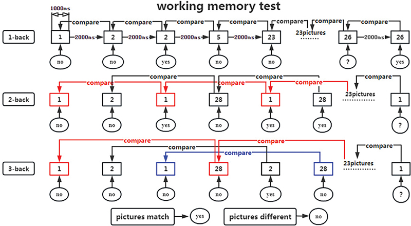 THE EFFECTS OF MODERATE-INTENSITY AEROBIC EXERCISE ON COGNITIVE ...